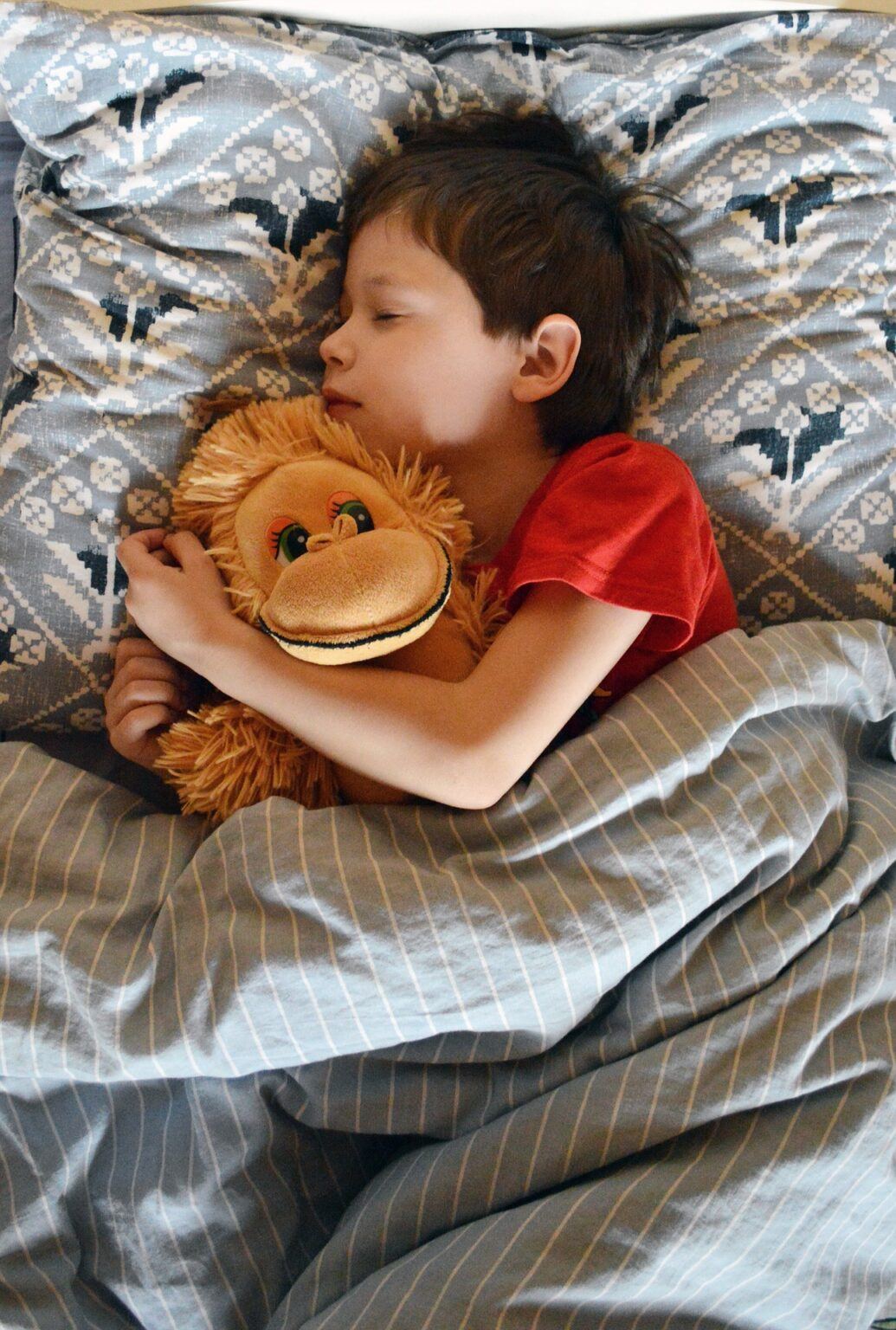 Kids' Soft Toys: Safety and Care